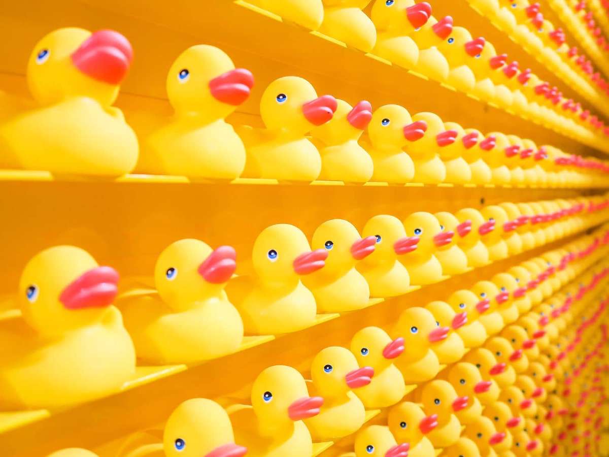 JavaScript Array Type Check is Array Vs Object In depth Code With